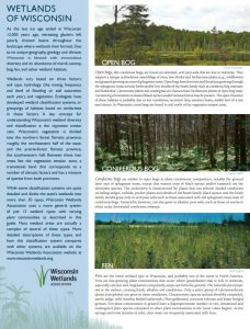 Wetland types | Wisconsin Wetlands Association