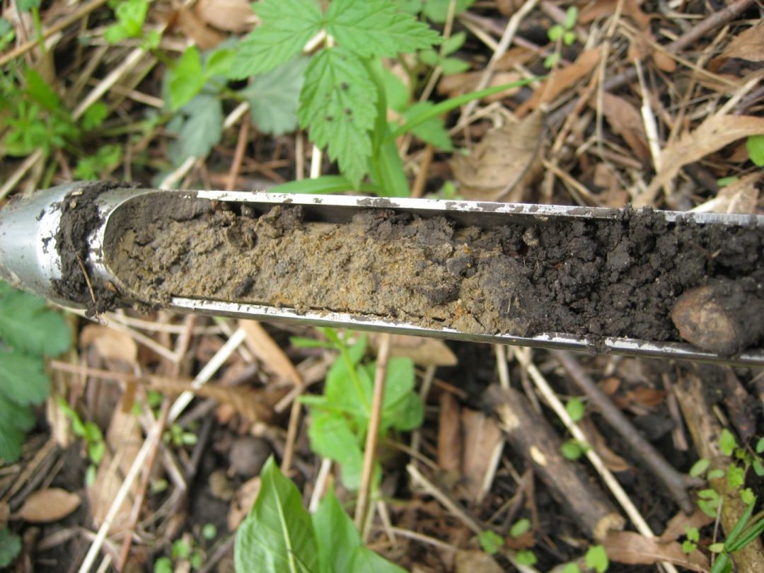 Ephemeral ponds: Seasonal habitat for wildlife | Wisconsin Wetlands ...