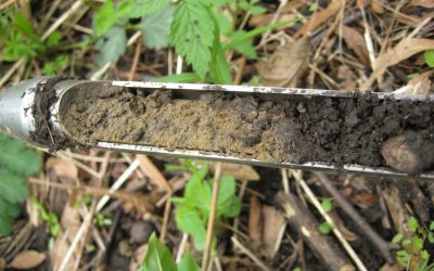 Learning what kind of wetland soils you have | Wisconsin Wetlands ...
