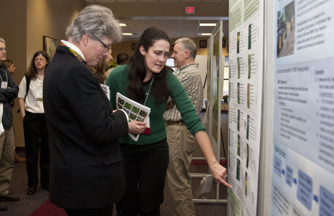 Reminiscences on the 30th Anniversary of the Wetland Science Conference ...