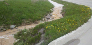 How wetlands protect communities during floods | Wisconsin Wetlands ...