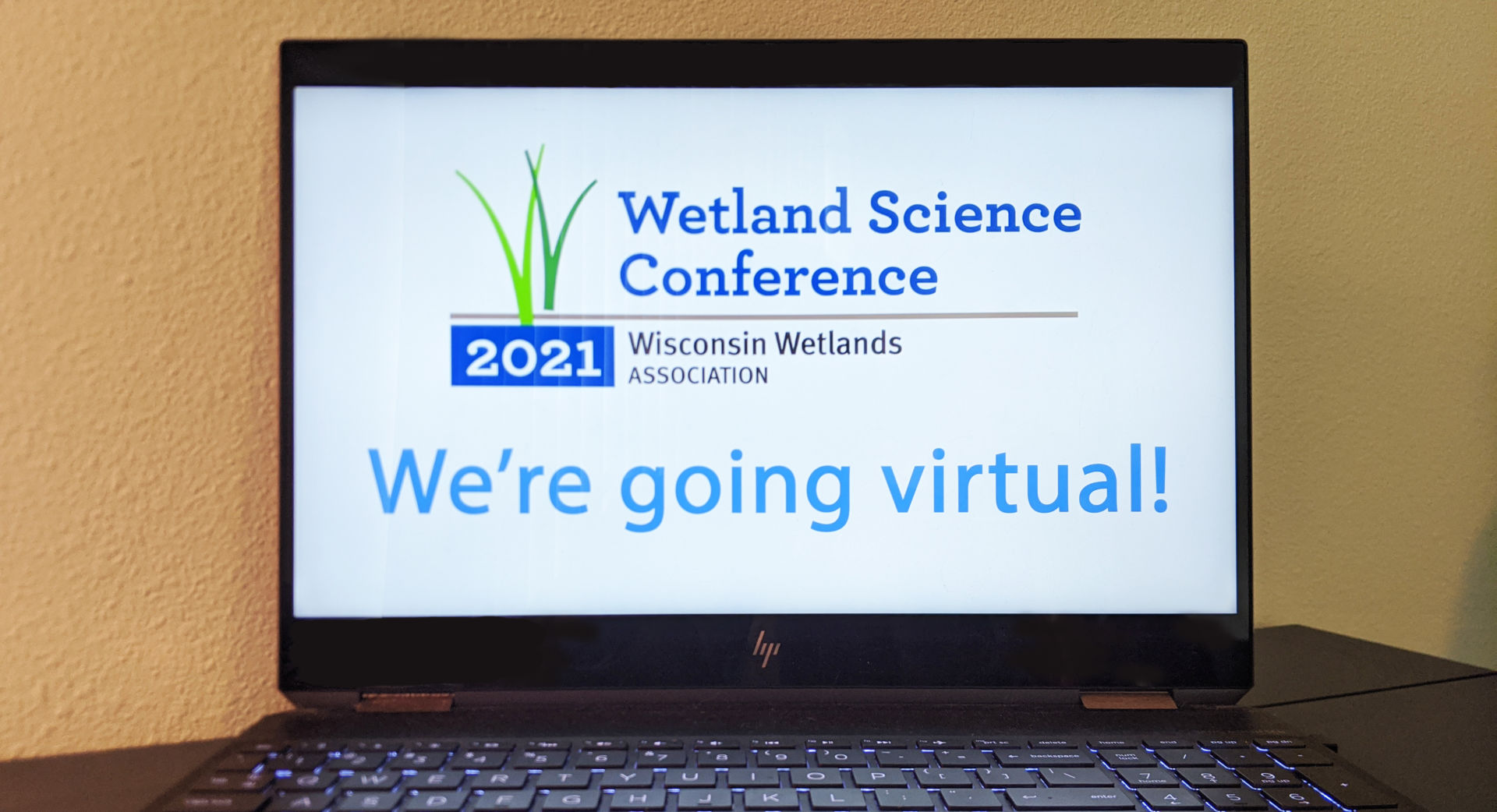 Conference announcement: Wetlands go virtual! | Wisconsin Wetlands ...