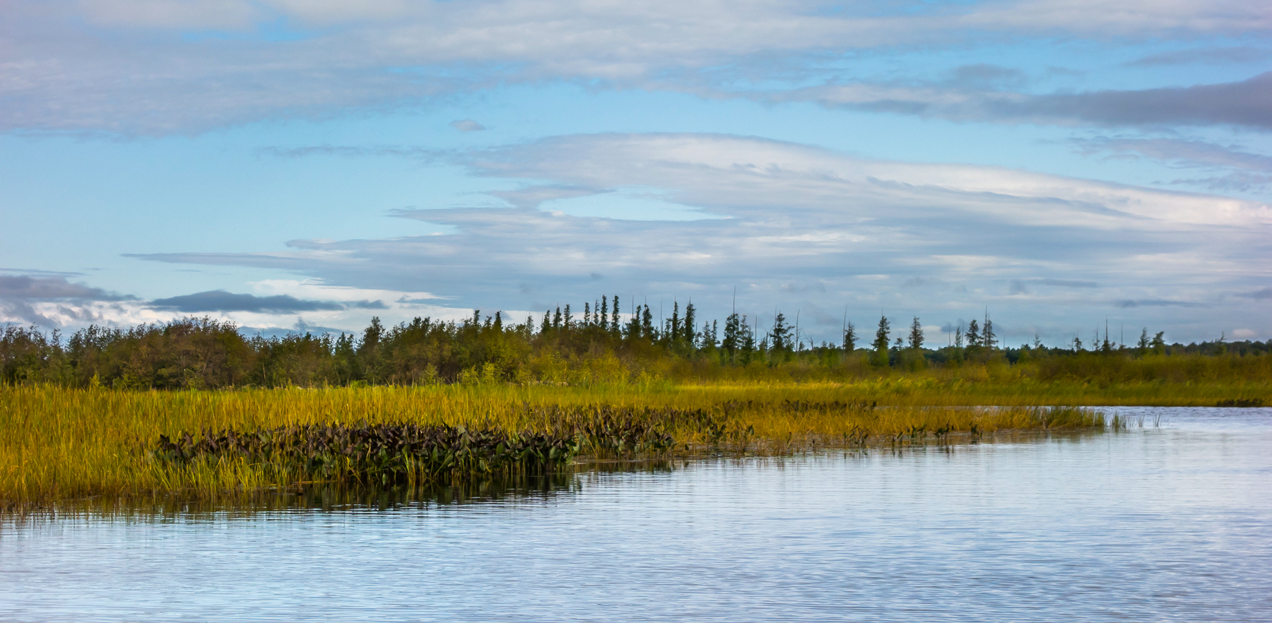 Seizing opportunities to build climate resilience with wetlands ...