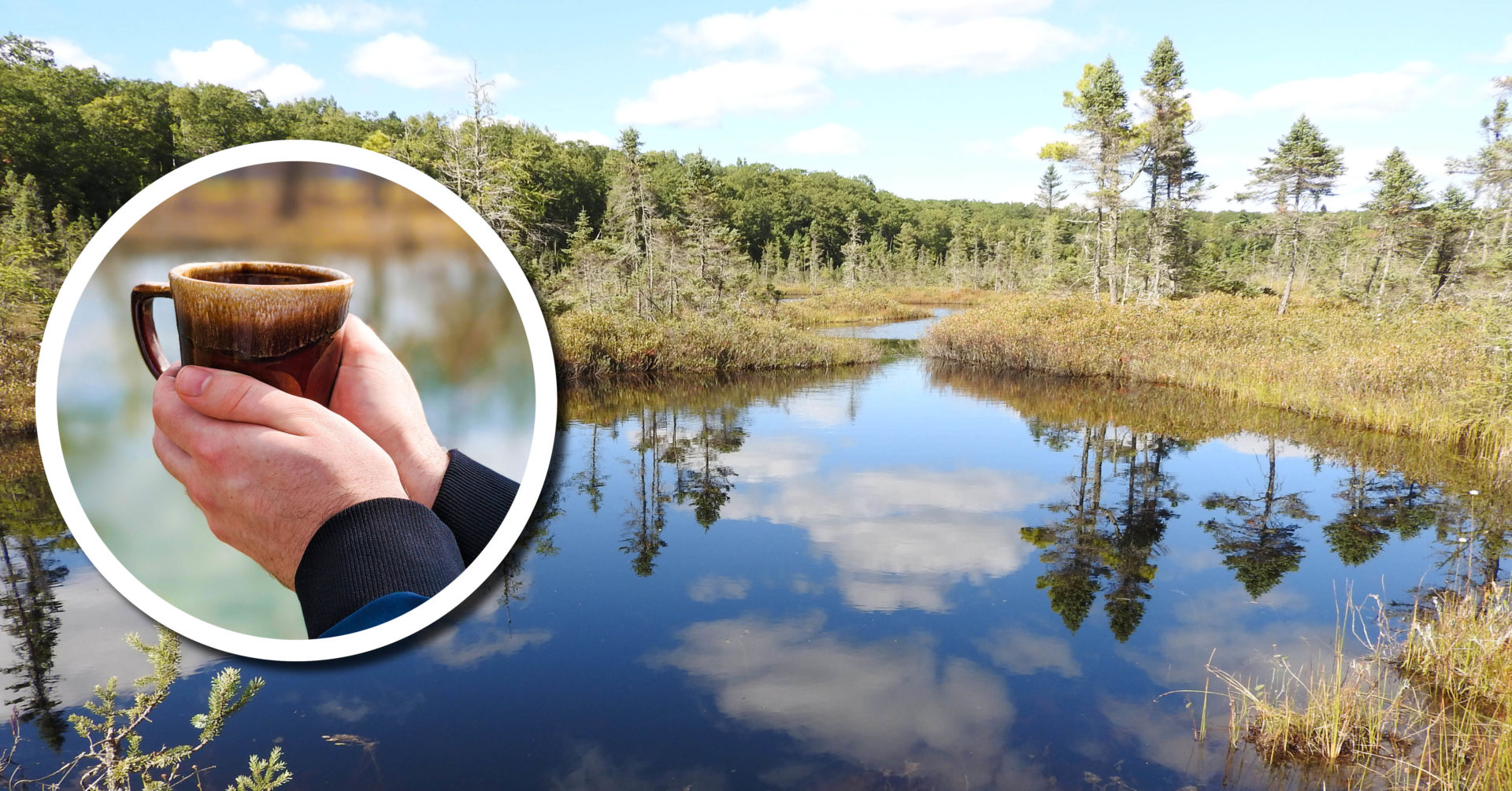 Wetland Coffee Break: Treasures of the Secret Fen | Wisconsin Wetlands ...