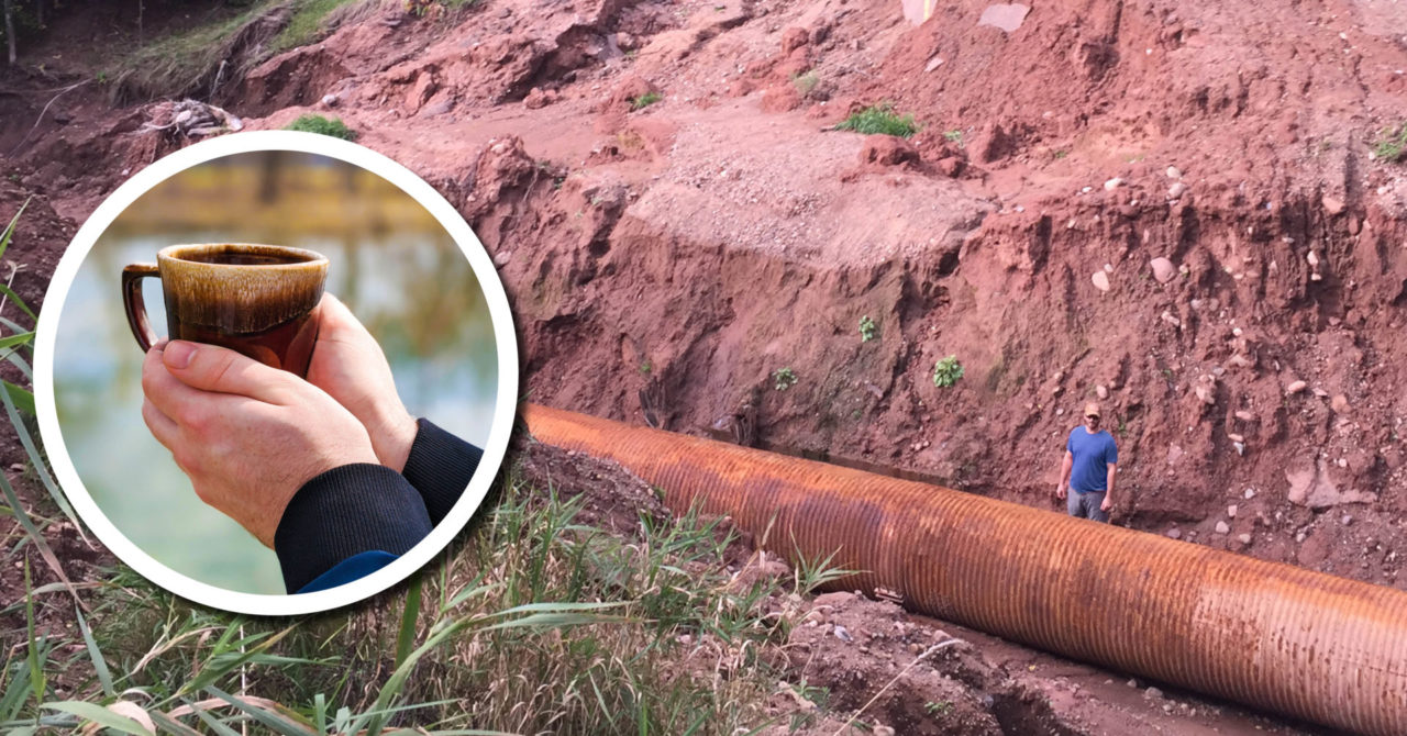 How wetlands protect communities during floods | Wisconsin Wetlands ...