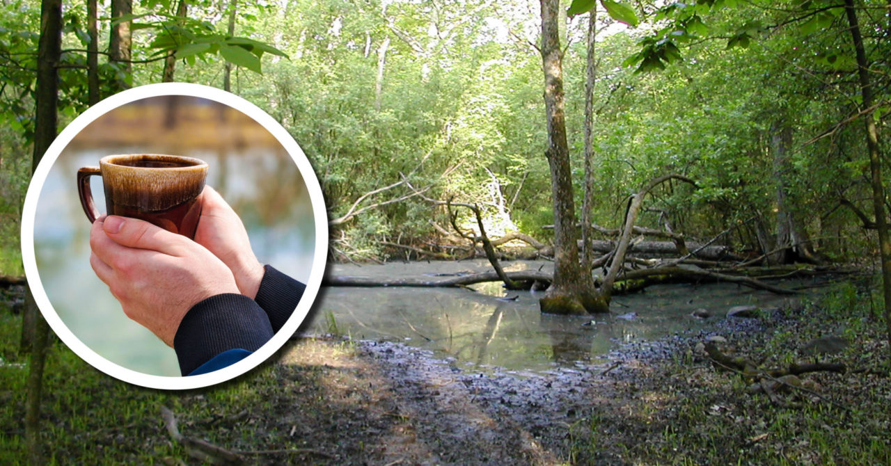 Ephemeral ponds: Seasonal habitat for wildlife | Wisconsin Wetlands ...