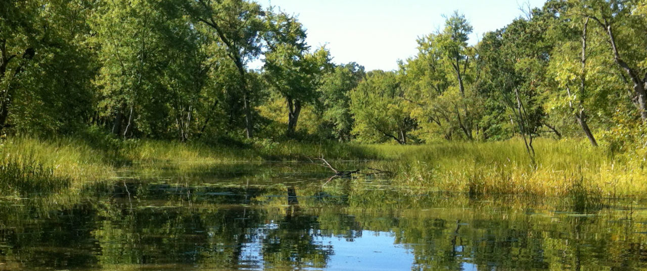 Wisconsin’s Wetlands of International Importance | Wisconsin Wetlands ...
