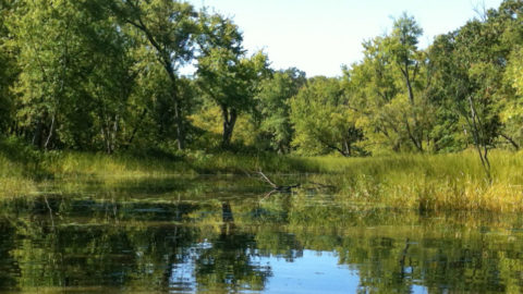 Wisconsin’s Wetlands of International Importance | Wisconsin Wetlands ...