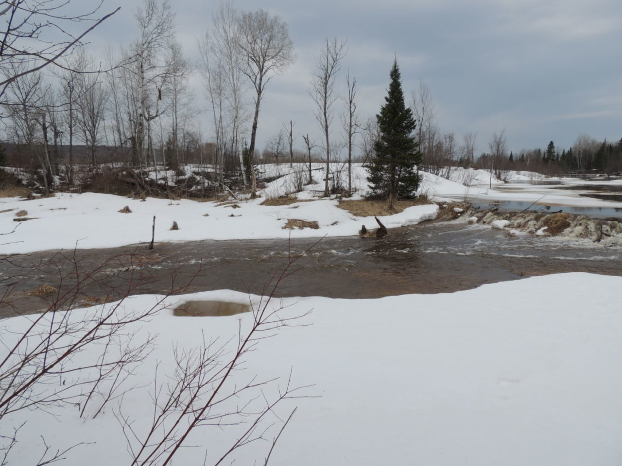 Our legacy of wetland loss: Behind our water problems | Wisconsin ...