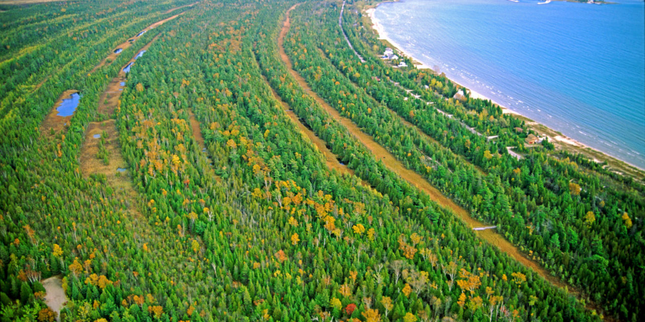 How to identify Wisconsin’s common wetland types, Part II | Wisconsin ...
