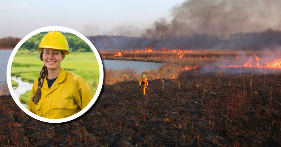 Wetland Coffee Break: The role and application of prescribed fire in ...
