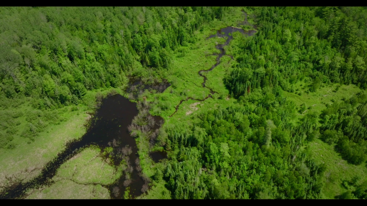 Communities & Wetlands Project | Wisconsin Wetlands Association