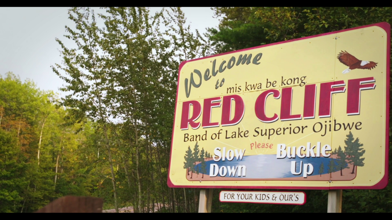 Communities & Wetlands Project | Wisconsin Wetlands Association