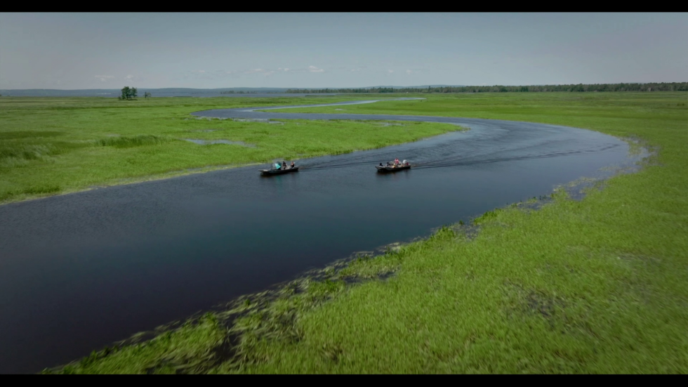 Communities & Wetlands Project | Wisconsin Wetlands Association