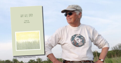 Wetland Coffee Break: Celebrating wetlands through poetry: The art and ...