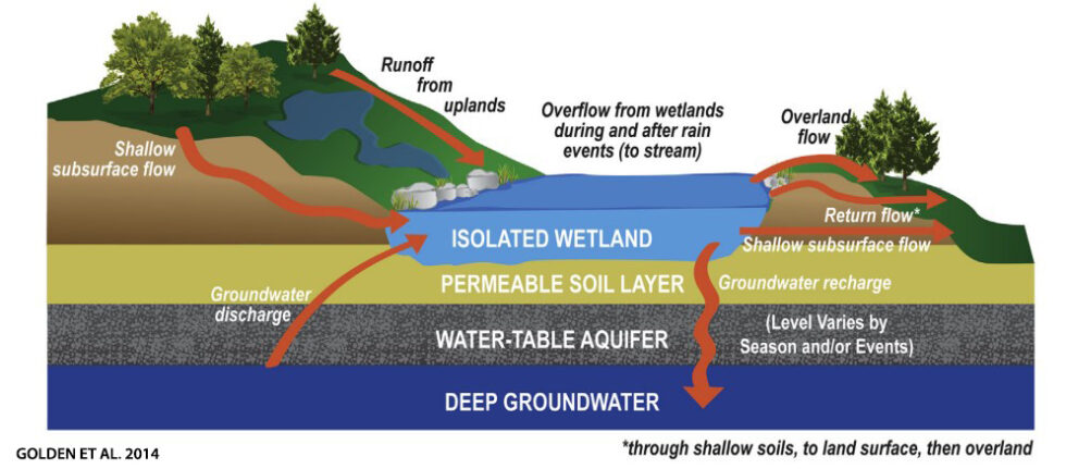 Wisconsin Wetlands: The Ice Age Connection | Wisconsin Wetlands Association
