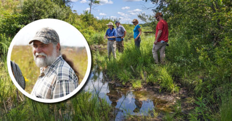 From the director: We work for wetlands | Wisconsin Wetlands Association