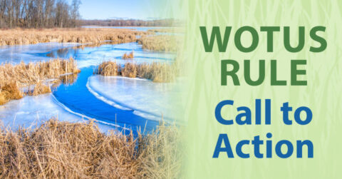 WOTUS Rule Call to Action | Wisconsin Wetlands Association